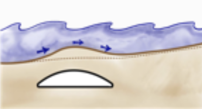 WaveTech